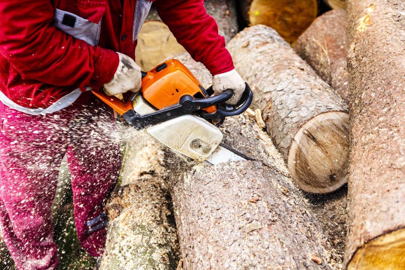 Man Sawing a Log in His Back Yard Stock Photo - Image of male, metal ...