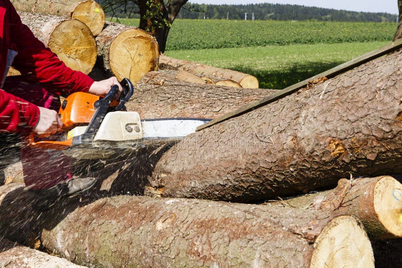 Man Sawing a Log in His Back Yard Stock Image - Image of action ...