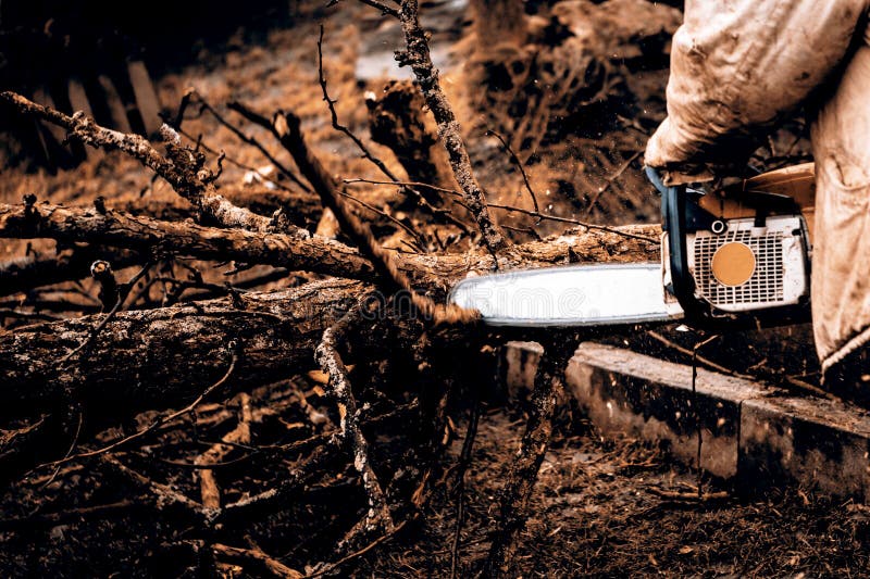 Man Sawing a Log in His Back Yard Stock Image - Image of power, orange ...