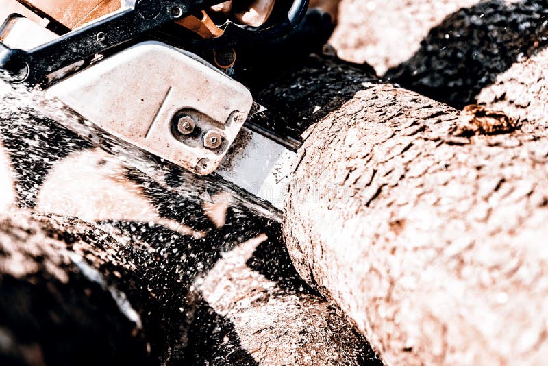 Man Sawing a Log in His Back Yard Stock Image - Image of garden ...