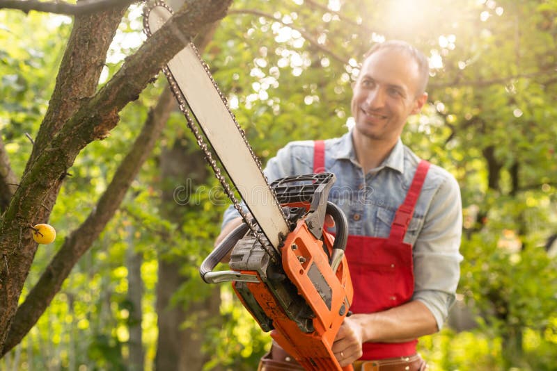 A Man is Sawing a Tree with a Chainsaw. Stock Image - Image of petrol ...