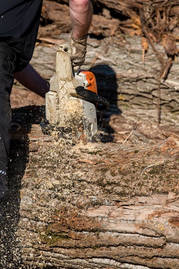 Man sawing a tree trunk stock image. Image of energy - 104102449