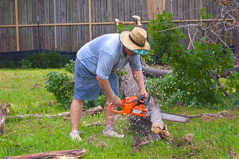 Man Cutting Tree Limbs stock image. Image of occupational - 39963035