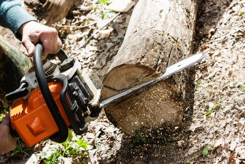 Man Sawing Wood Log with a Chainsaw. Stock Image - Image of tool ...