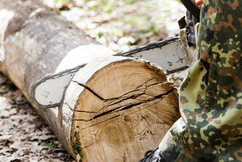 Man Sawing Wood Log with a Chainsaw. Stock Photo - Image of woodcutter ...