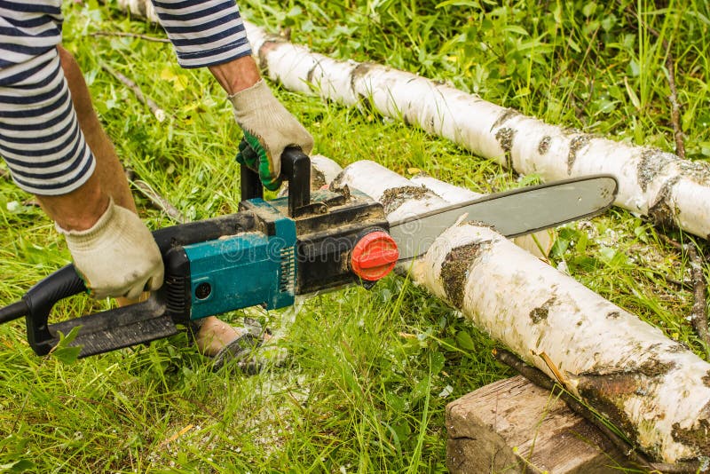 Sawing wood stock image. Image of wood, people, fashioned - 25657875
