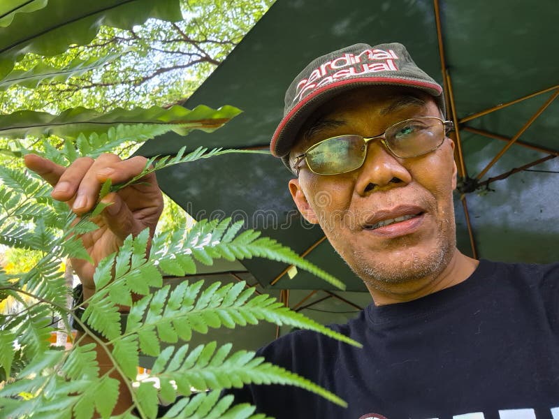 A Man Say Hallo Under the Umbrella Stock Image - Image of umbrella ...