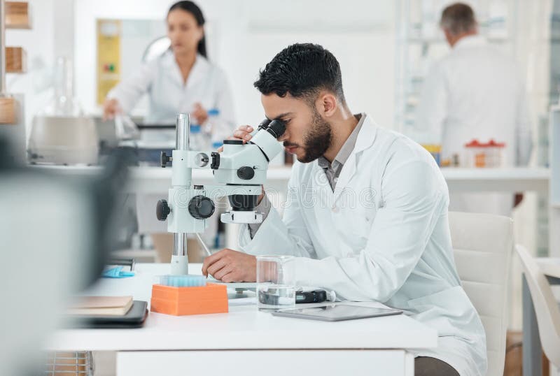 Man, Scientist and Check with Microscope in Lab with Disease Experiment ...