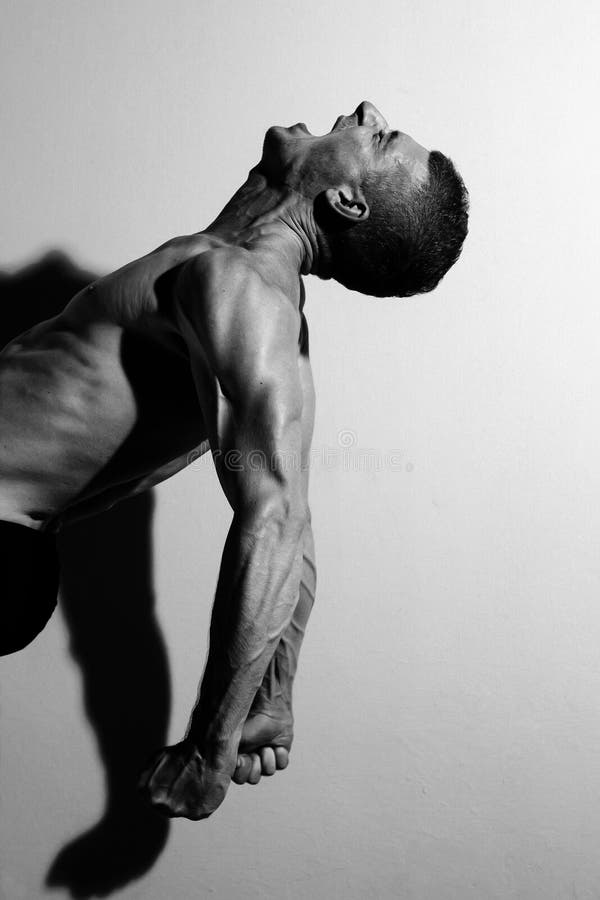 108 Bodybuilder Shout Stock Photos - Free & Royalty-Free Stock Photos ...