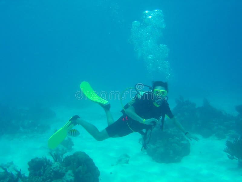 Man scuba diving stock photo. Image of water, scuba, sports - 10452626