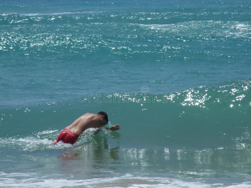Man in sea stock photo. Image of water, beach, swim, travel - 3000148