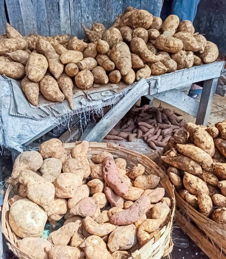 A Man Sells Cilembu Sweet Potato. Stock Image - Image of vegetable ...