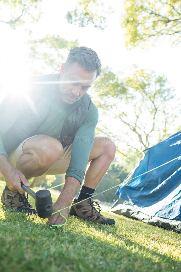 Man Setting Up the Tent at Campsite Stock Image - Image of caucasian ...