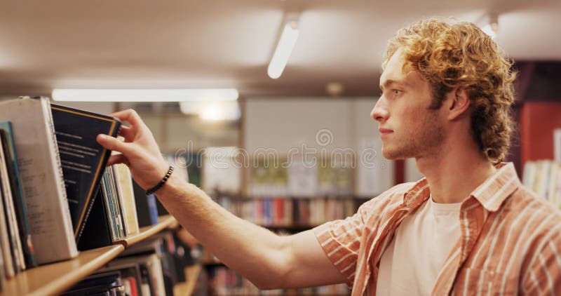 Man, Shelf and Learning with Books in Library for Choice, Studying and ...
