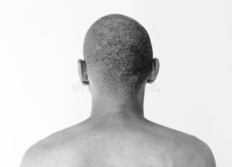 Man Shirtless Rear View Studio Portrait Stock Image - Image of ...