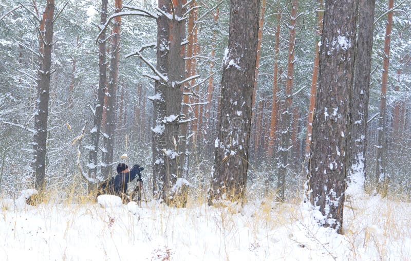 Man in the shooting time stock image. Image of green - 23955195