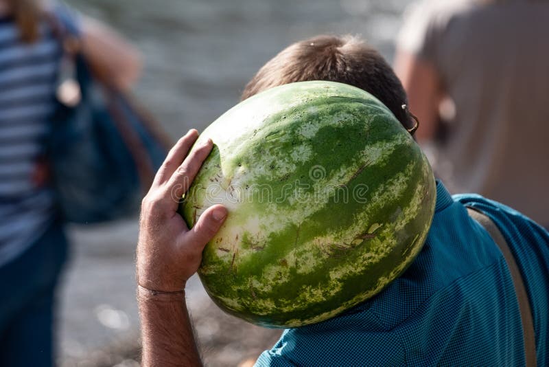 The Man on the Shoulder Carries a Ripe Big Watermelon. Stock Photo ...