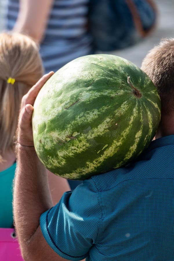 The Man on the Shoulder Carries a Ripe Big Watermelon. Stock Image ...