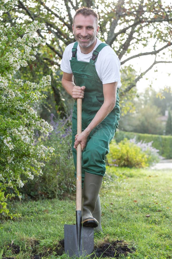 Man with shovel in garden stock image. Image of digs - 153022649