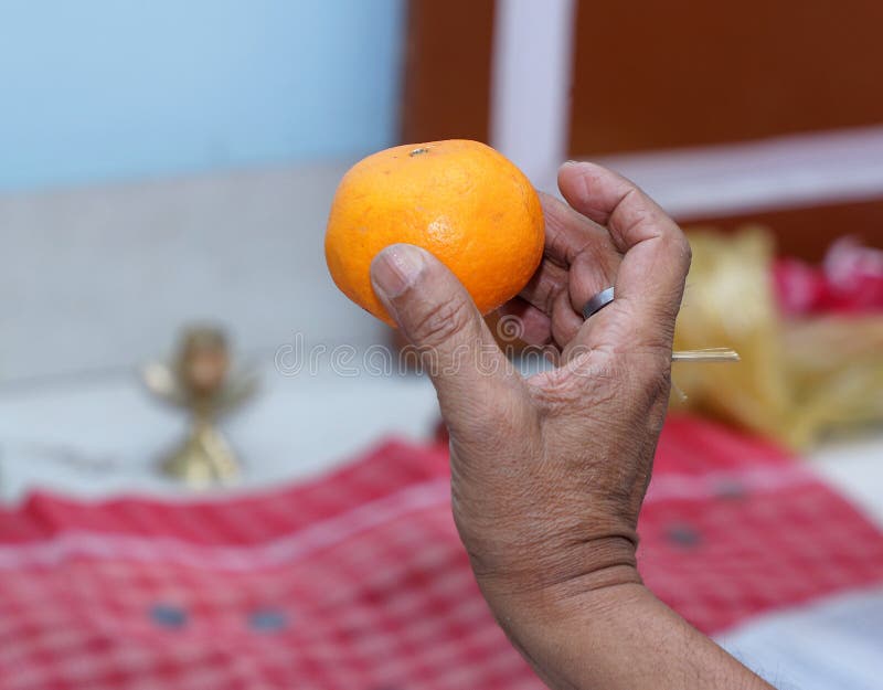 A Man Showing Winter Fruit Orange in Hand Stock Photo - Image of ...