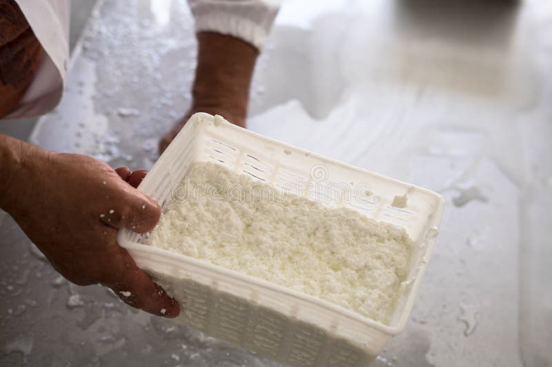 Man Shows His Freshly Made Ricotta Cheese in a Rectangular Container ...