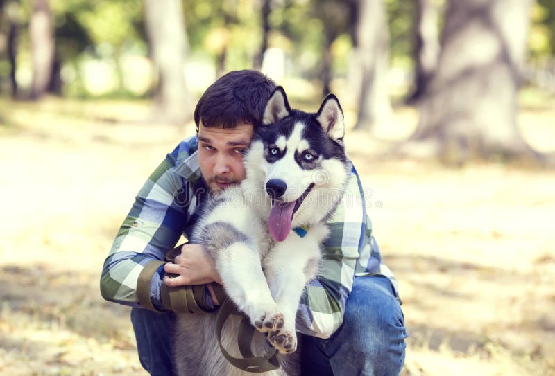 Man and the Siberian Husk stock photo. Image of autumn - 60104394