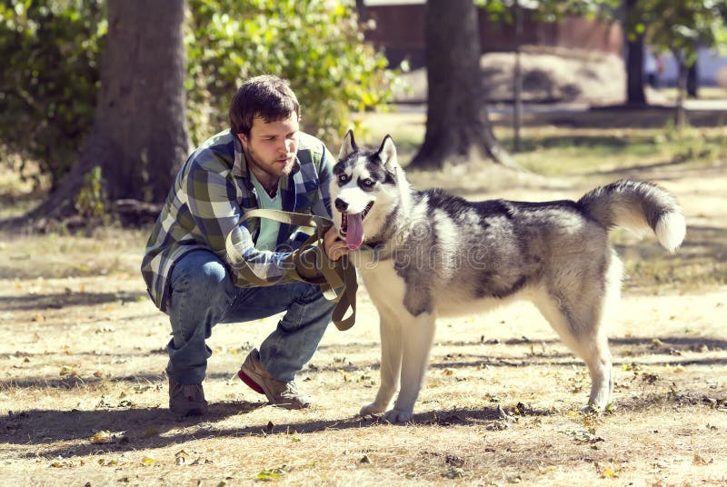 Man and the Siberian Husk stock photo. Image of alaskan - 60105562