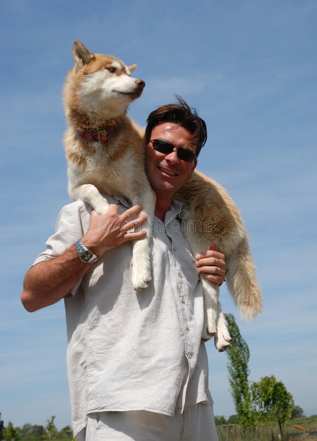Man and siberian husky stock photo. Image of friendship - 13601524