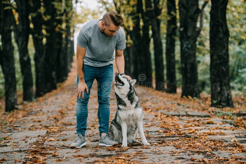 Man with Siberian Husky Dog Stock Photo - Image of obedienceclass ...