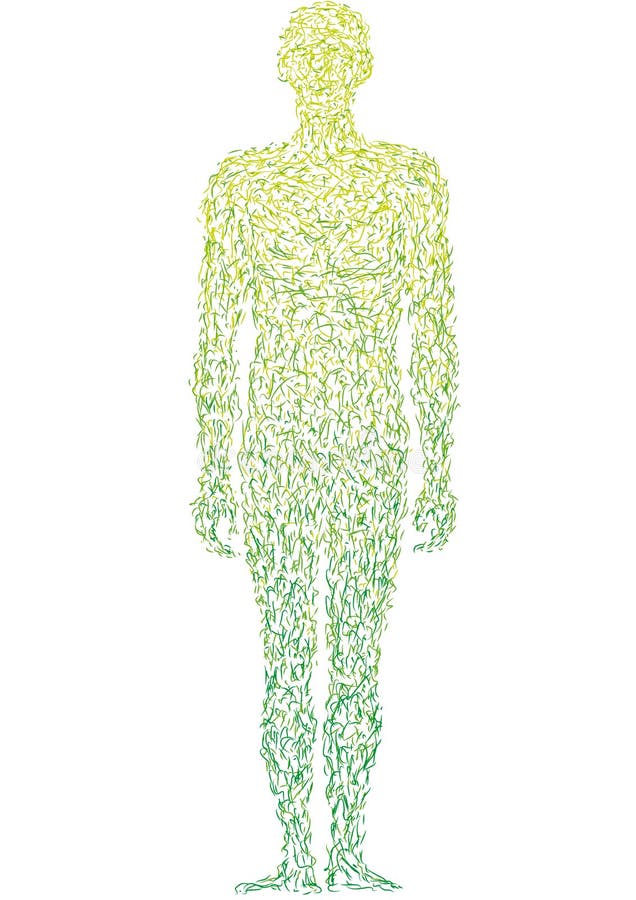 Man silhouette stock vector. Illustration of vector, body - 37417315