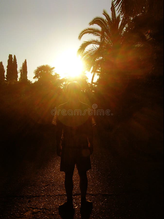 Man Silhouette in a Sunlight Stock Photo - Image of success, young ...
