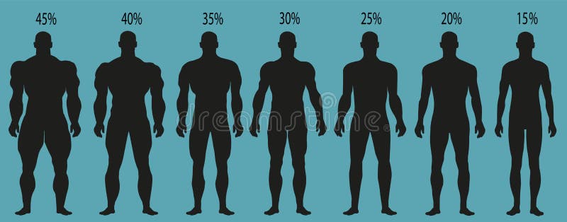 Man Silhouettes with Different Muscle Degrees. Stock Vector ...