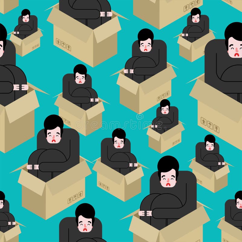 The Cat Sits Inside the Box and Next To the Box. the Concept of ...