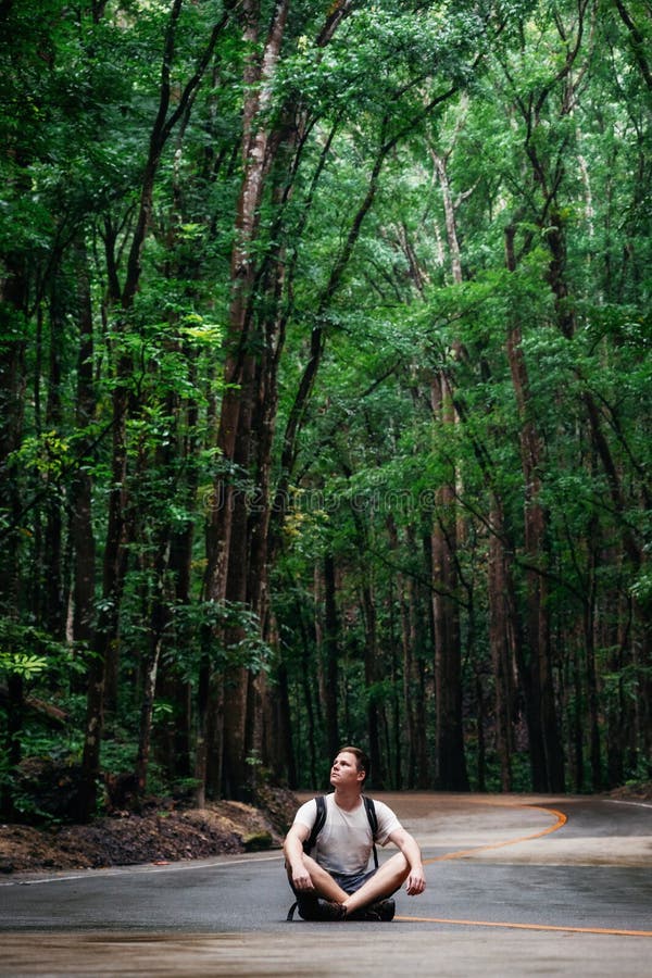 Road through Bilar Man-Made Forest on Bohol Island, Philippin Stock ...