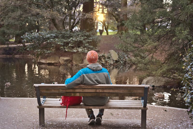 Man on the bench stock image. Image of loneliness, outside - 246821917