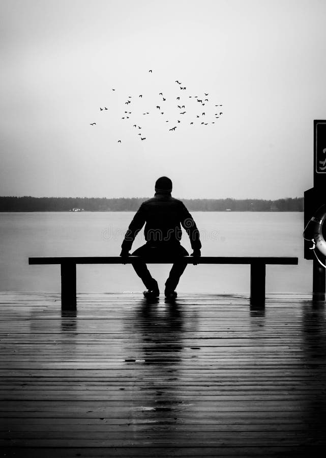 Man sitting on a bench stock photo. Image of bright, backlit - 48493752
