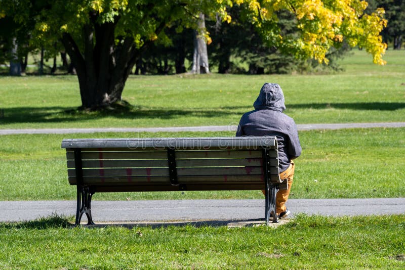 Man Sitting on Bench in Maisonneuve Park Editorial Photography - Image ...