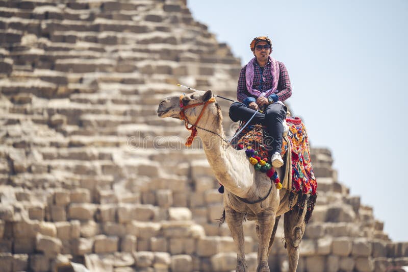 Man Sitting on a Camel by the Pyramids in Cairo Egypt Editorial Image ...