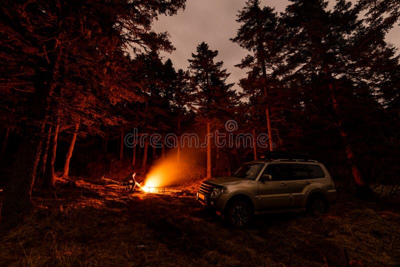 A Man Sitting at Campfire in a Tourist Camp in a Fir Forest Stock Image ...