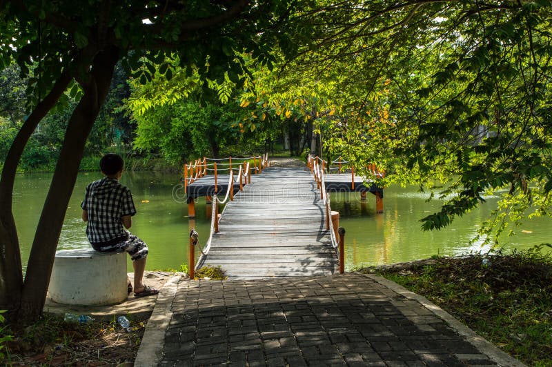 Man Sitting on Lakeside Looking the Bridge Editorial Stock Photo ...