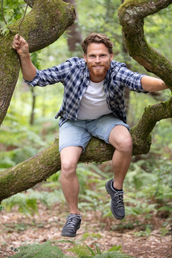 Man Sitting on Suspended Tree Branch Stock Image - Image of lifestyle ...