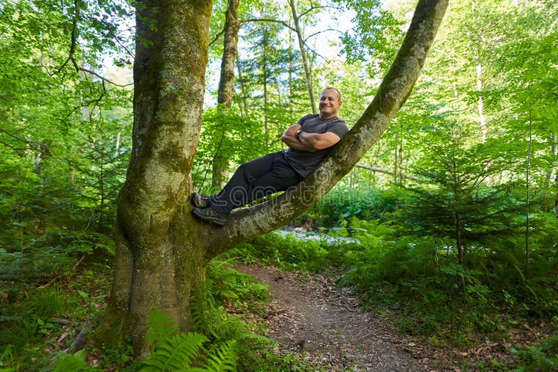 Man sitting in a tree stock photo. Image of satisfaction - 252875266