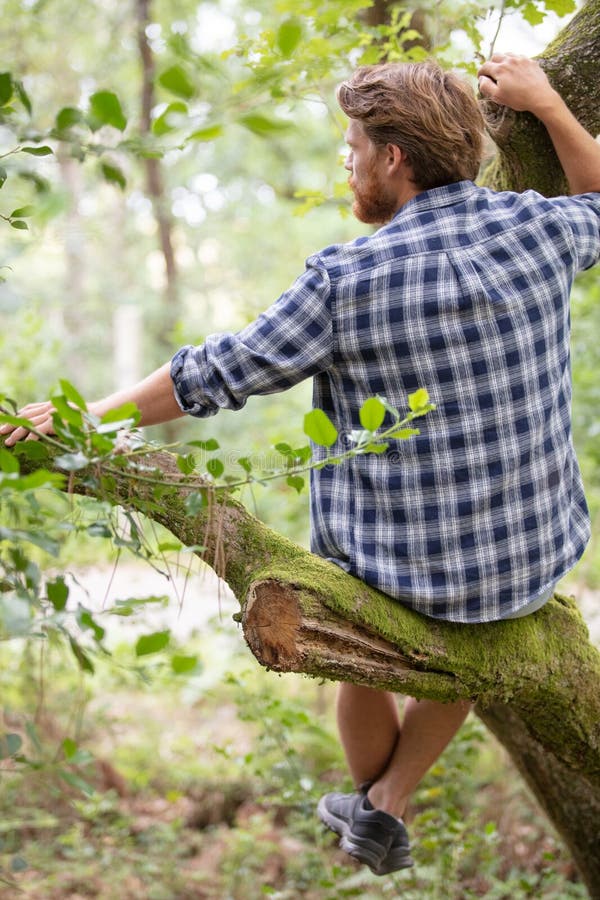 Man Sitting on Trunk in Forest and Relaxing Stock Image - Image of ... Man Sitting on Trunk in Forest and Relaxing Stock Image - Image of ...
