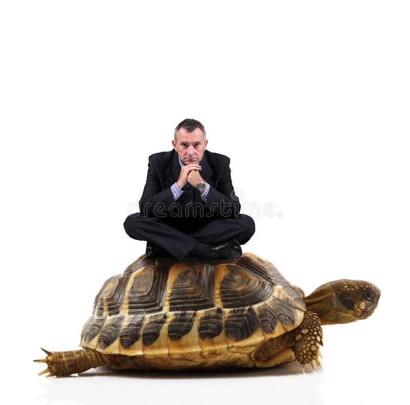 Man sitting on a turtle stock photo. Image of career - 101466920
