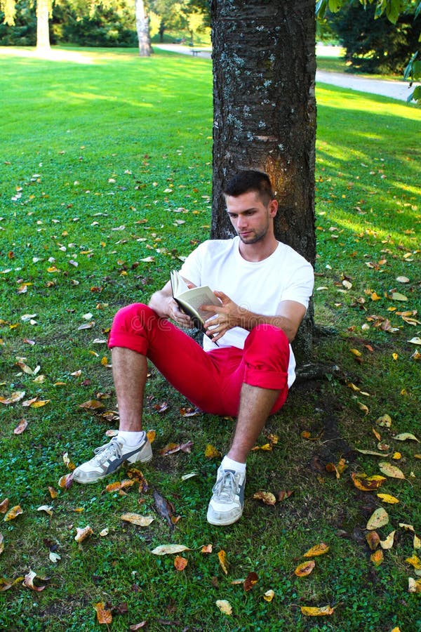Man Sitting Under a Tree Reading a Book Stock Photo - Image of sitting ...