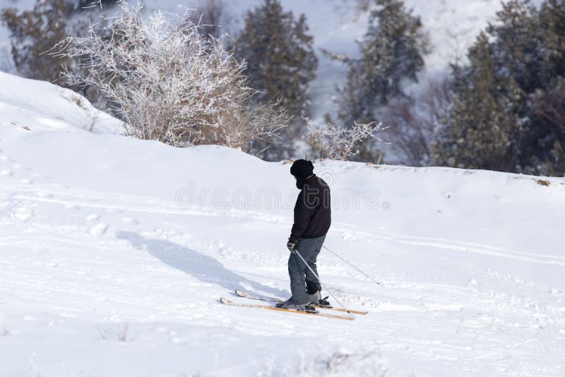 Man Skiing in the Snow in Winter Editorial Stock Image - Image of fast ...