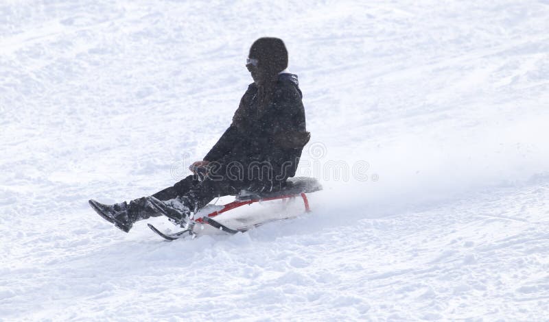 Man sledding in the snow stock photo. Image of outdoor - 107830754