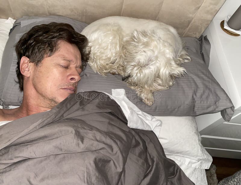 Man sleeping with the dog. stock image. Image of friendship - 173056865