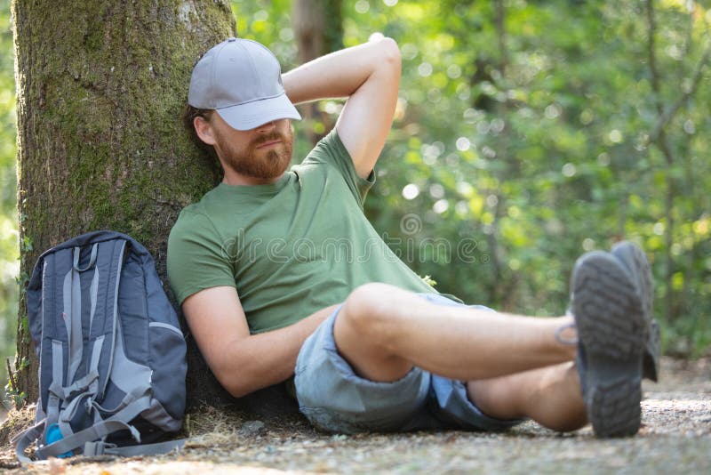 Man Sleeping in Pine Forest Stock Image - Image of bark, person: 259959703
