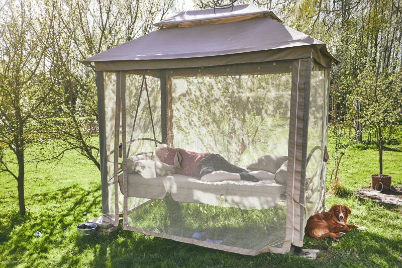 Man sleeping on the swing stock photo. Image of dreamy - 115742818